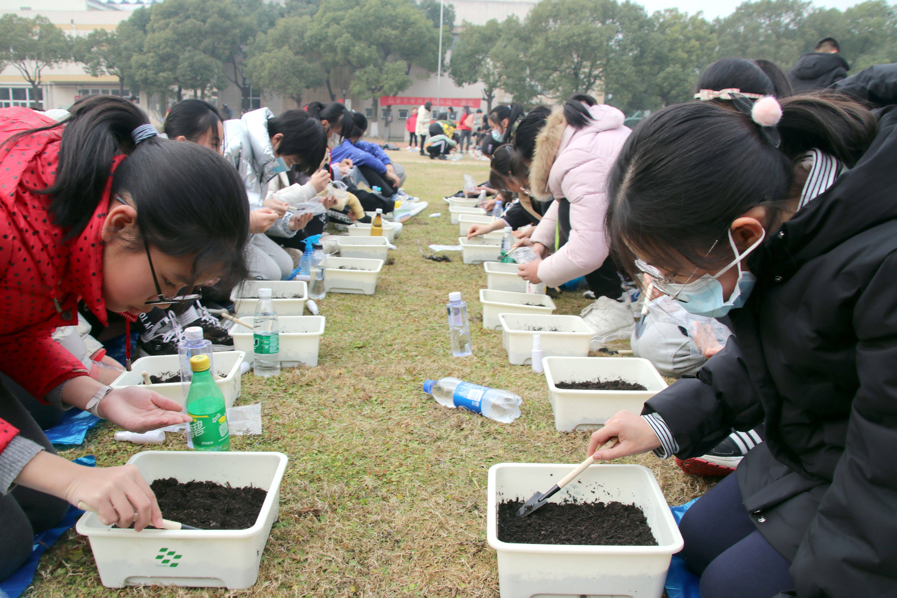 苏州农学院庞欣博士走进吴中区迎春中学为学生授课-搜狐大视野-搜狐新闻