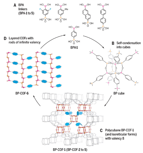 MOF/COF的开创者和奠基人Omar M. Yaghi教授2020年工作总结-搜狐大视野-搜狐新闻