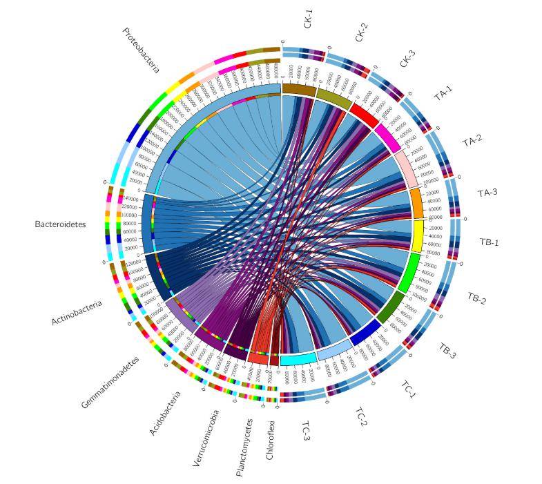 如何优雅地展示群落微生物数据_物种