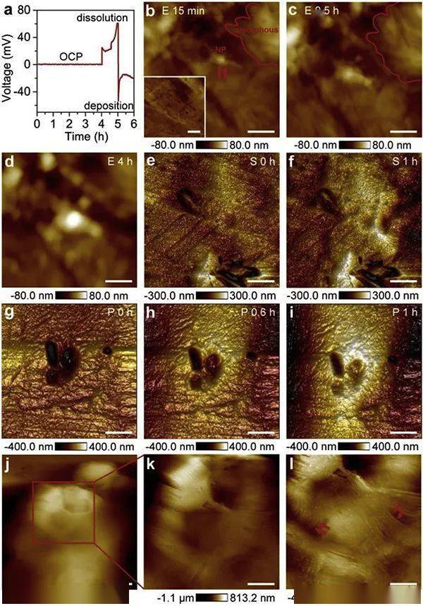 中科院化学研究所Nano Energy: 原位AFM揭示金属锂表面SEI演化及LiNO3添加剂调控机制_wt