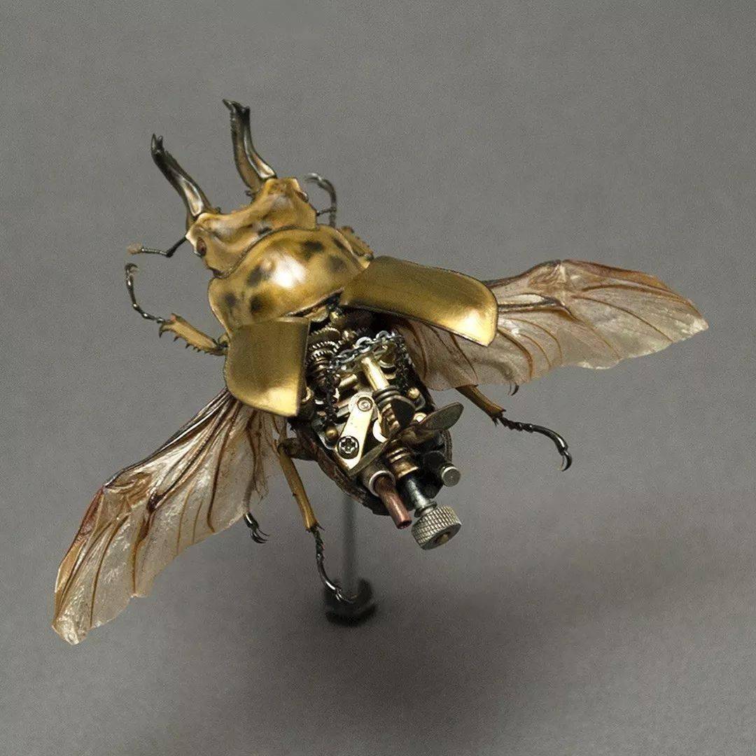 机械昆虫艺术家 Mike Libby-搜狐大视野-搜狐新闻