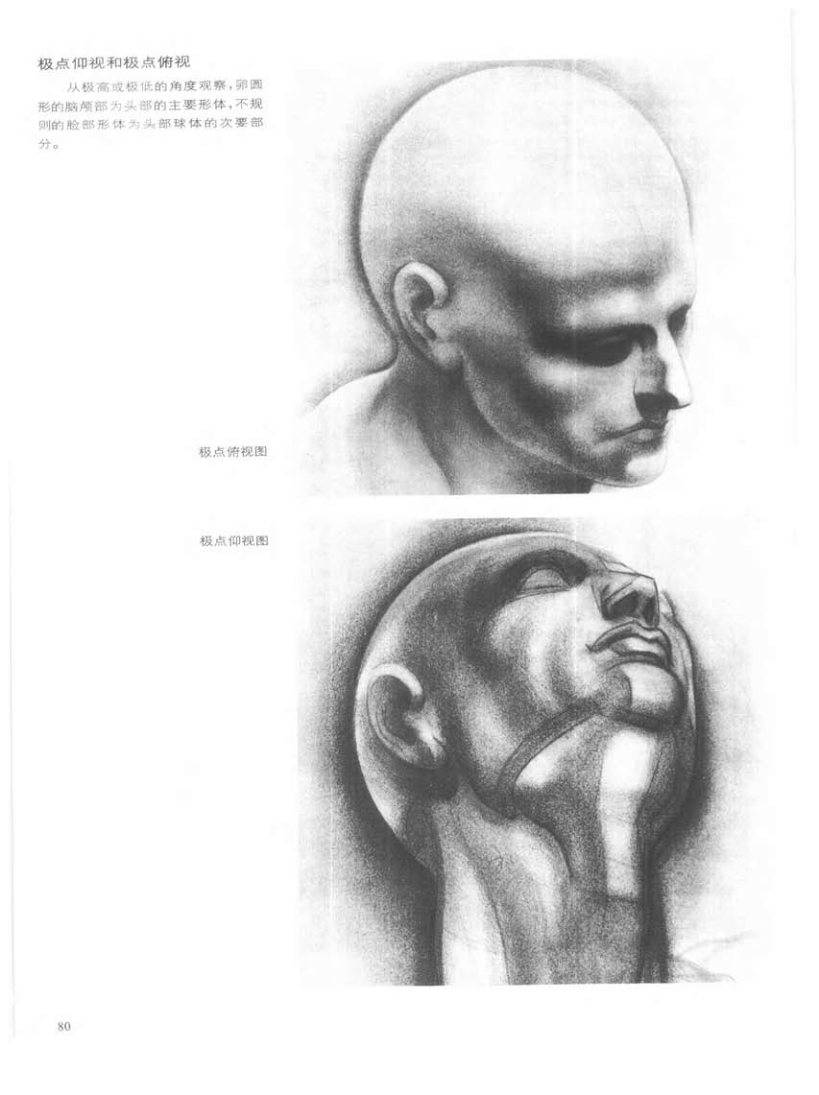动态素描·头部结构 头部动态 伯恩霍加思-搜狐大视野-搜狐新闻