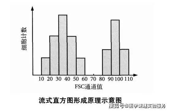 这几种流式图你知道么？_细胞
