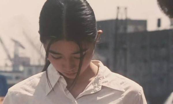 世人只道翩跹之燕尾蝶艳俗，却不懂它在拥抱最后的美梦-搜狐大视野-搜狐新闻