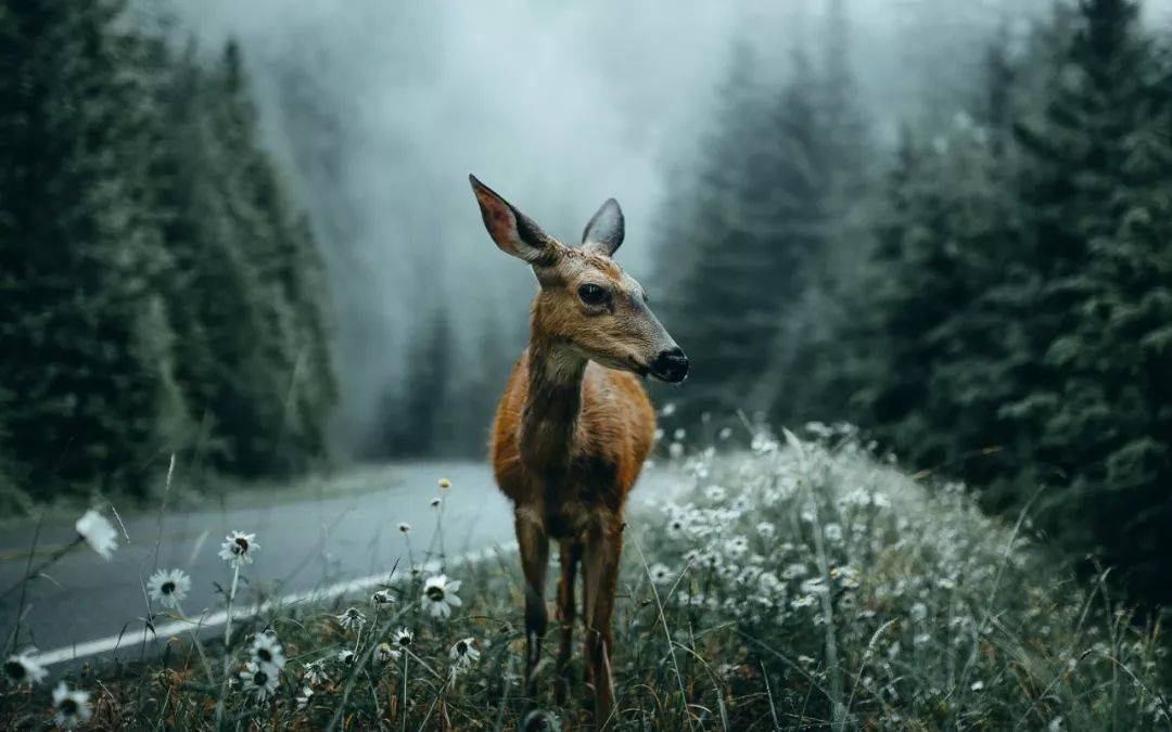 ins摄影师Dylan Furst把青色用的出神入化！_照片