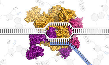 体外诊断设计：什么是LDT和IVD，以及如何对其进行监管-搜狐大视野-搜狐新闻