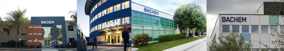 瑞士Bachem多肽产品中国一级代理商_仪器