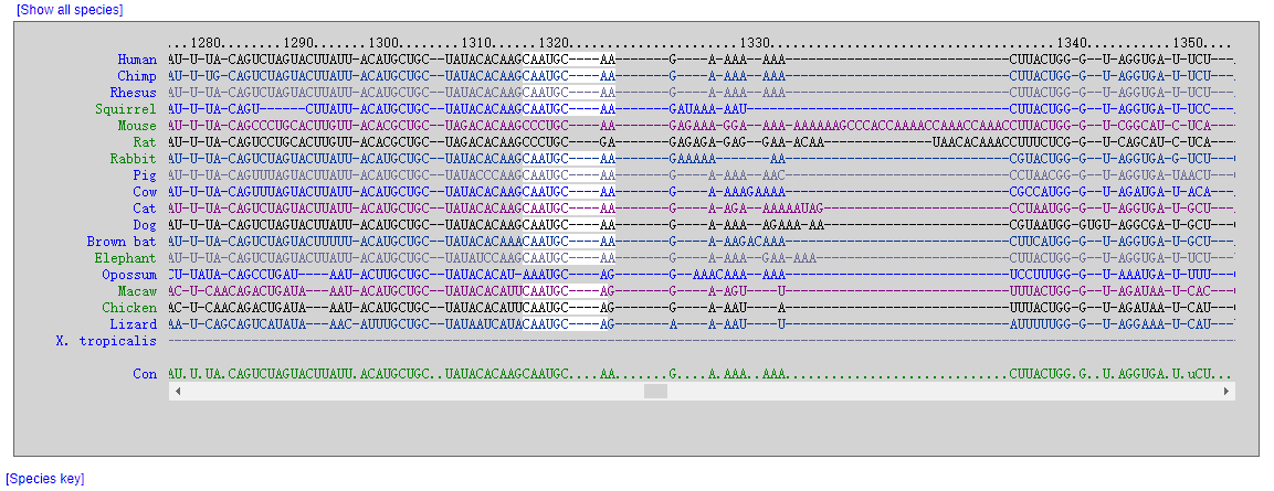 TargetScan：miRNA靶基因数据库_预测