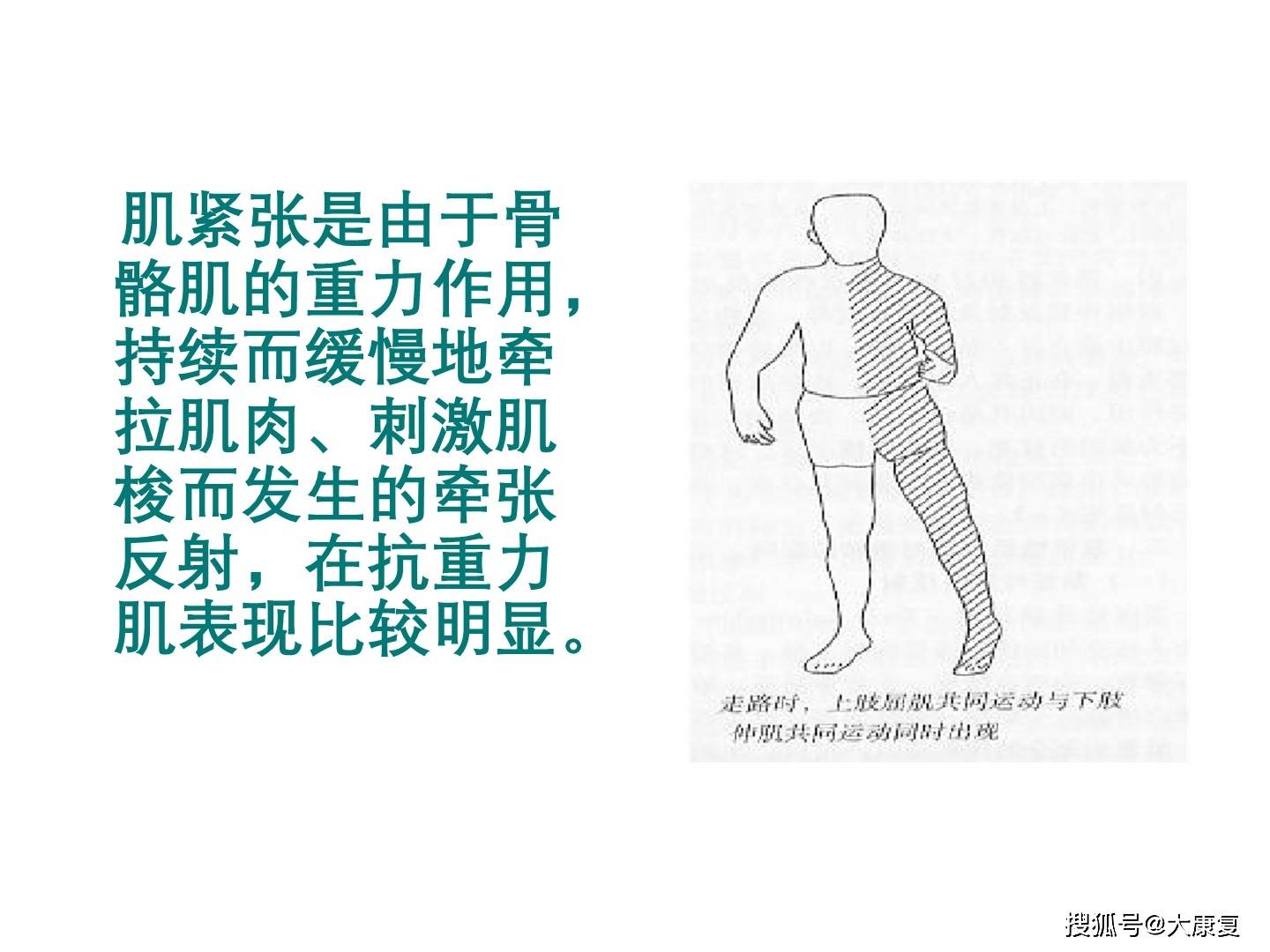 Brunnstrom技术_运动