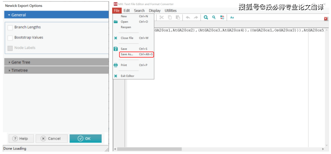 mega导出newick文件 - 常用生物学软件的安装与应用（五） - 赛派号