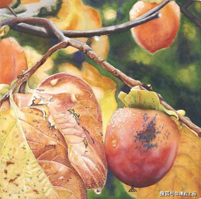 美国画家Cara Brown水彩画作品选集-搜狐大视野-搜狐新闻