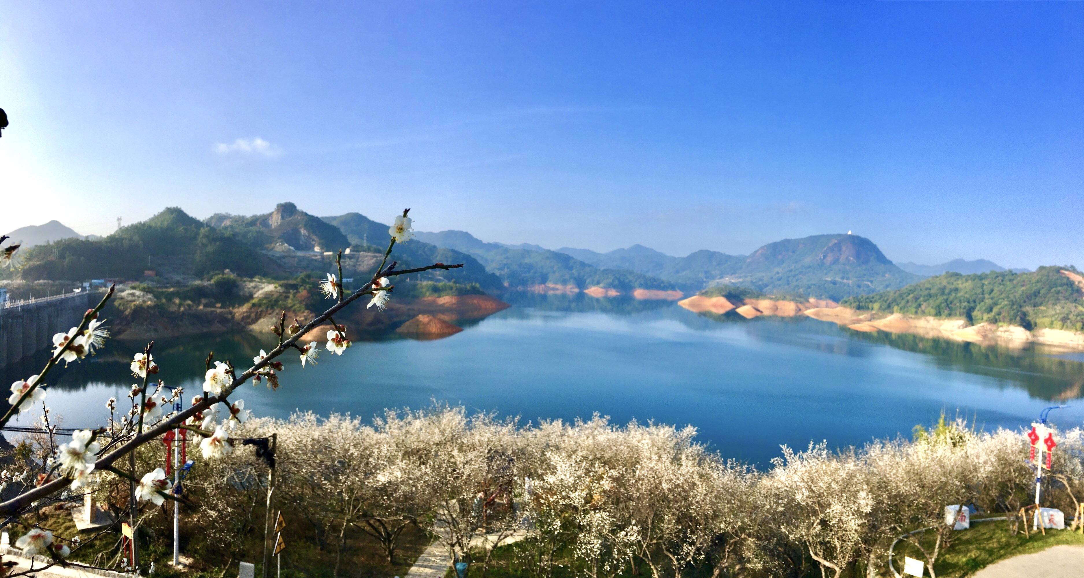 汕尾市南天湖首届梅花诗词文化节贺诗汇编（436首）-搜狐大视野-搜狐新闻