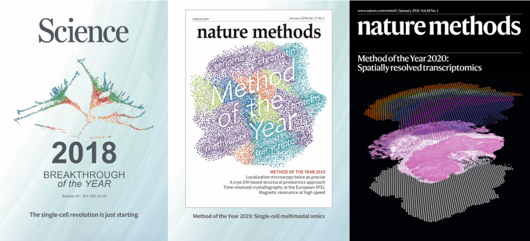 2020年Nature Methods年度技术：空间转录组学_Visium