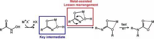 「NR」Lossen rearrangement——异氰酸酯的制备_反应