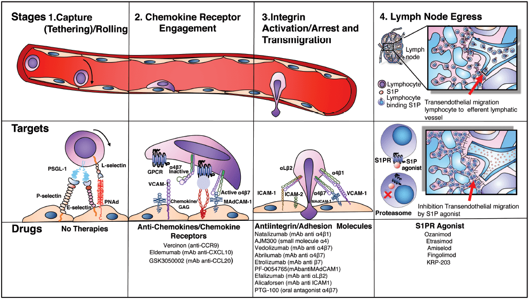 I期临床完成即获强生10亿美元引入的IBD重磅新药——TD-1473_治疗