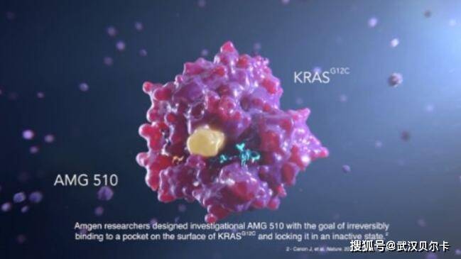 历经四十年AMG510将进入中国临床!KRAS不再无药可治!_治疗