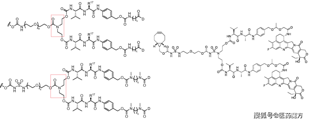 多项授权合作，Synaffix公司ADC专利技术解析_抗体