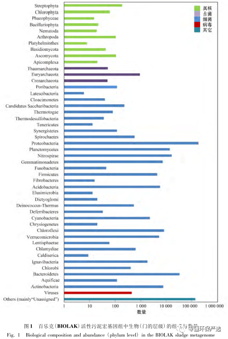 百乐克( BIOLAK) 活性污泥宏基因组的生物多样性及功能分析_工艺