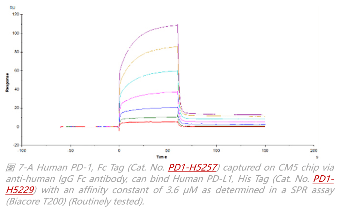 ACRO百普赛斯坚持用SPR/BLI双平台质控蛋白结合活性的原因_检测_can_干涉技术