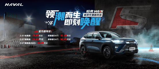 贵州驰成哈弗H6家族首款轿跑SUV-H6S_搜狐汽车_搜狐网