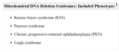 韦翰斯医学 | 线粒体遗传病诊断策略_mtDNA_基因_遗传物质