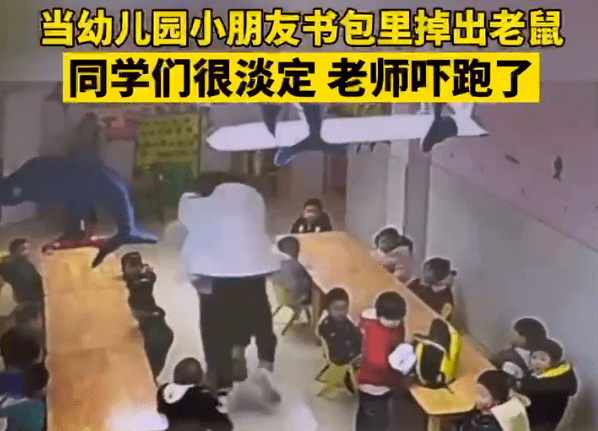 小朋友书包掉出老鼠,老师火速逃跑遭质疑:难道范跑跑要再次上演网友孩子事件