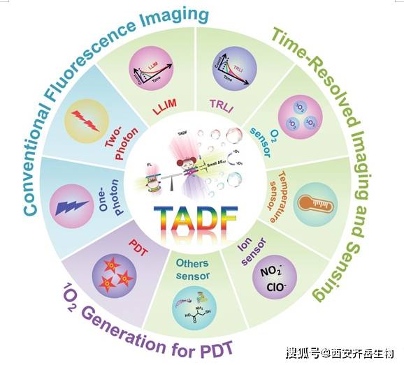 热激活延迟荧光TADF材料在生物医学领域的应用和研究进展（齐岳生物）_WOcz_成像_分子