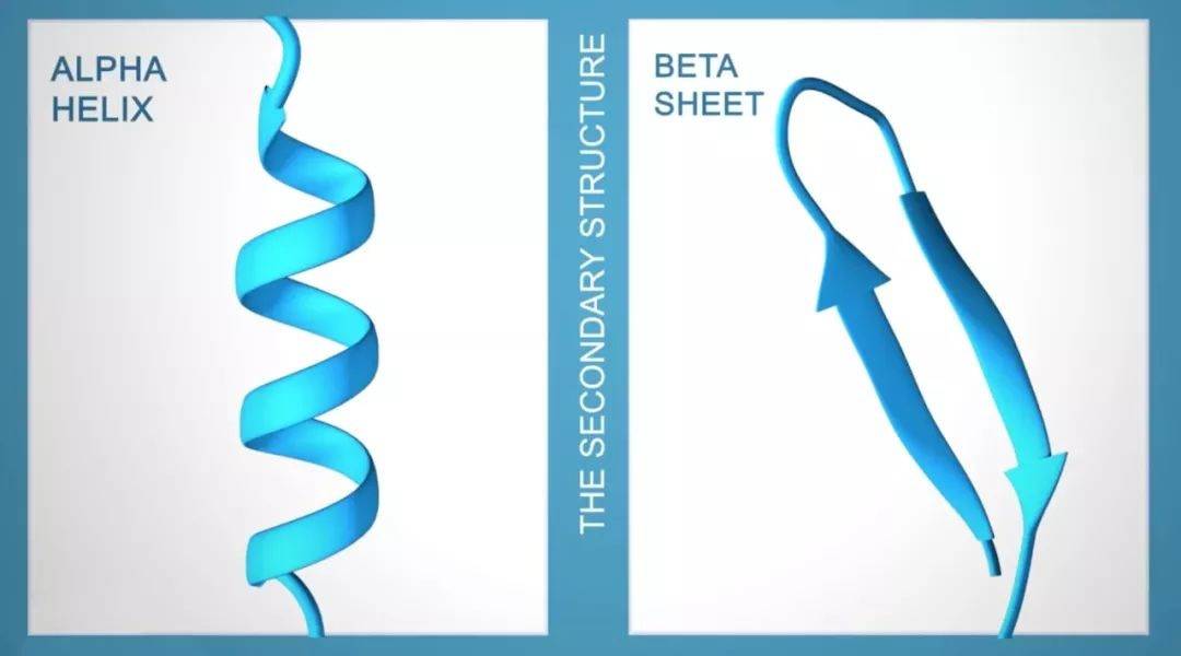观察您前所未见的中红外动力学反应_IRis-F_Bio-Logic_IR-Sweep