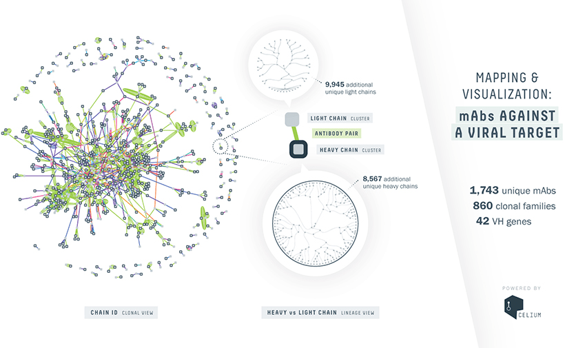 抗体AI制药概念龙头，曾凭新冠肺炎药物名声大噪：AbCellera未来几何？_生物_公司_技术