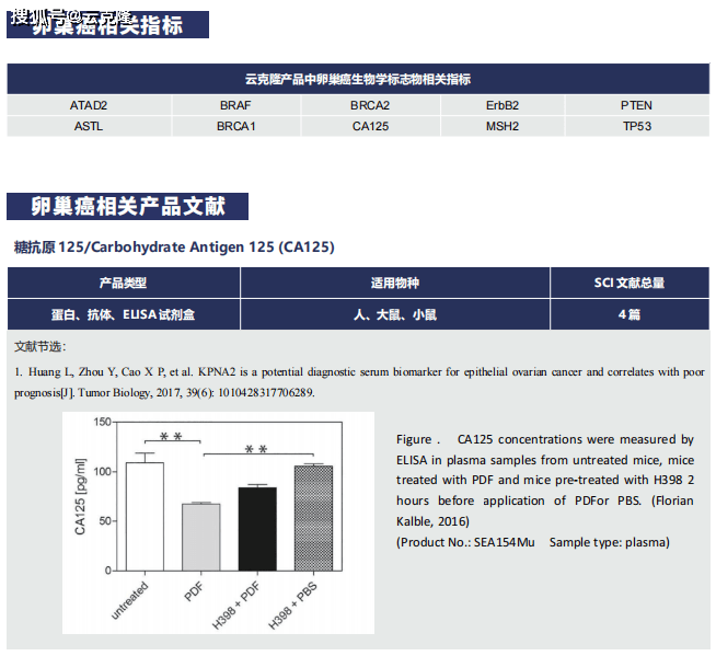 TrkB激动剂抗体改善老年和环磷酰胺诱导的卵巢早衰模型小鼠的生育能力缺陷_卵泡_治疗_逆转
