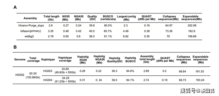学术前沿：单细胞测序，助力人类基因组从头组装_平台_PacBio_SMOOTH-seq