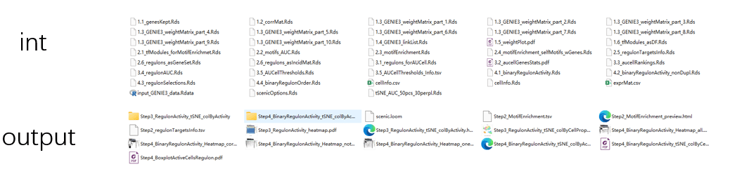 SCENIC单细胞转录因子调控网络分析_基因_cell_信息