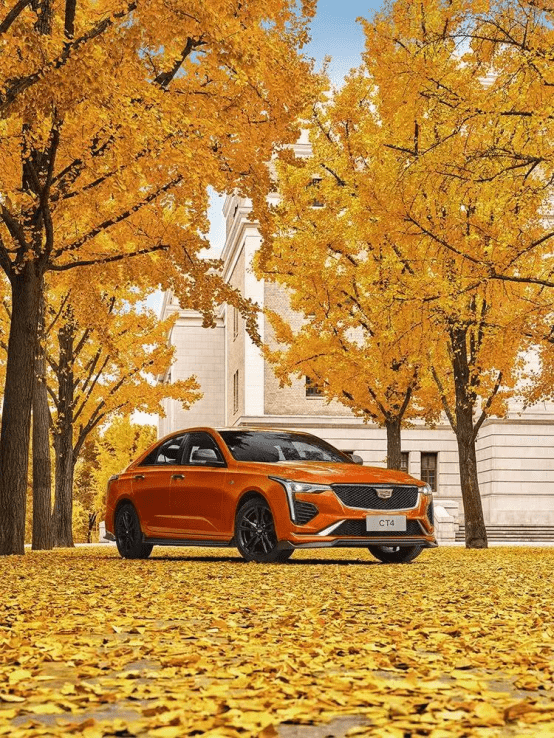 给予豪华用车体验，凯迪拉克CT4 1.5T版比BBA更出色！_搜狐汽车_搜狐网