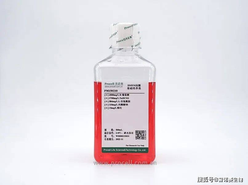 细胞学堂 | 培养基颜色改变意味着什么_污染_状态_情况