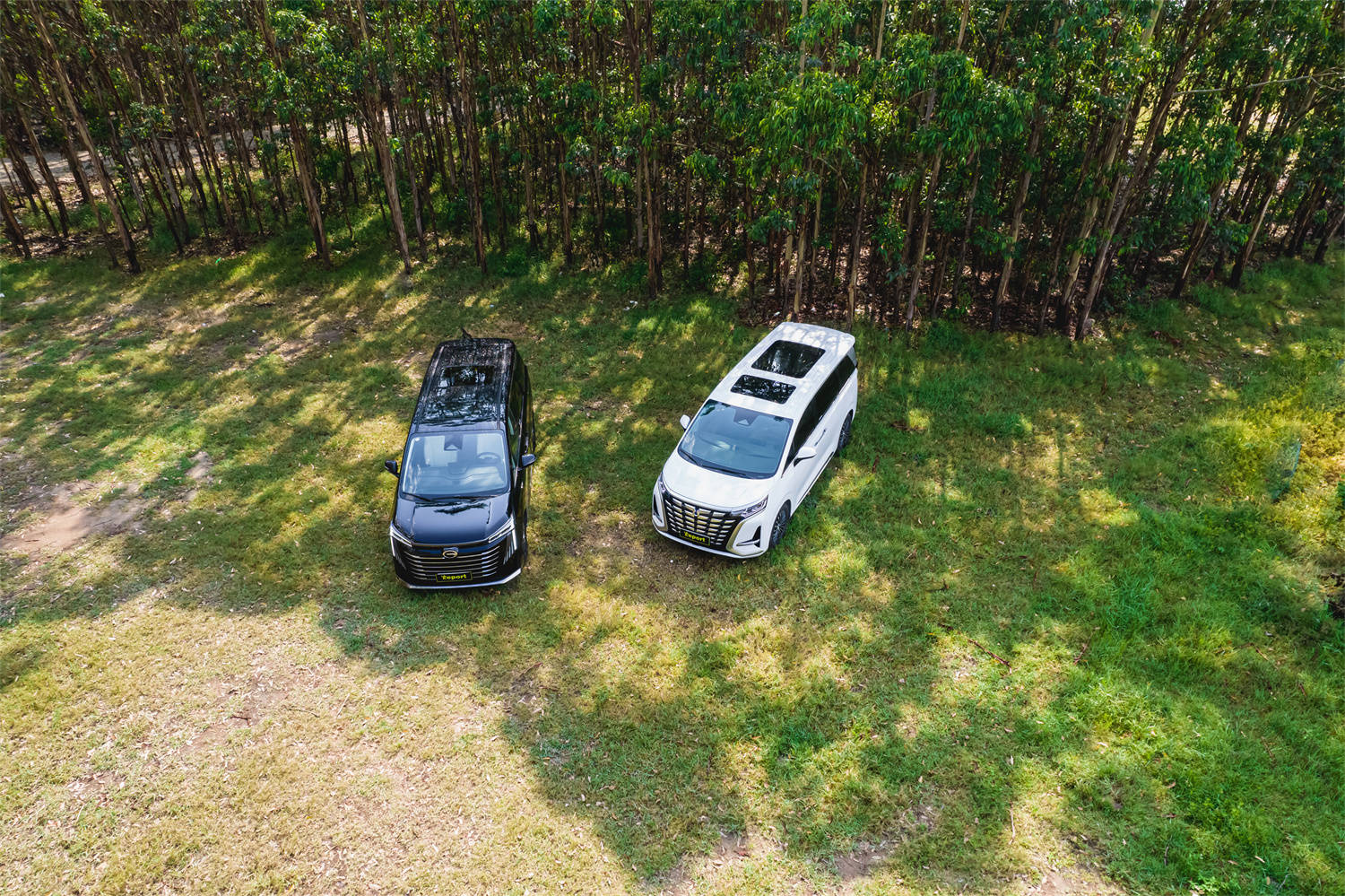 MPV高端局，传祺E9与腾势D9谁是“MVP”？_搜狐汽车_搜狐网