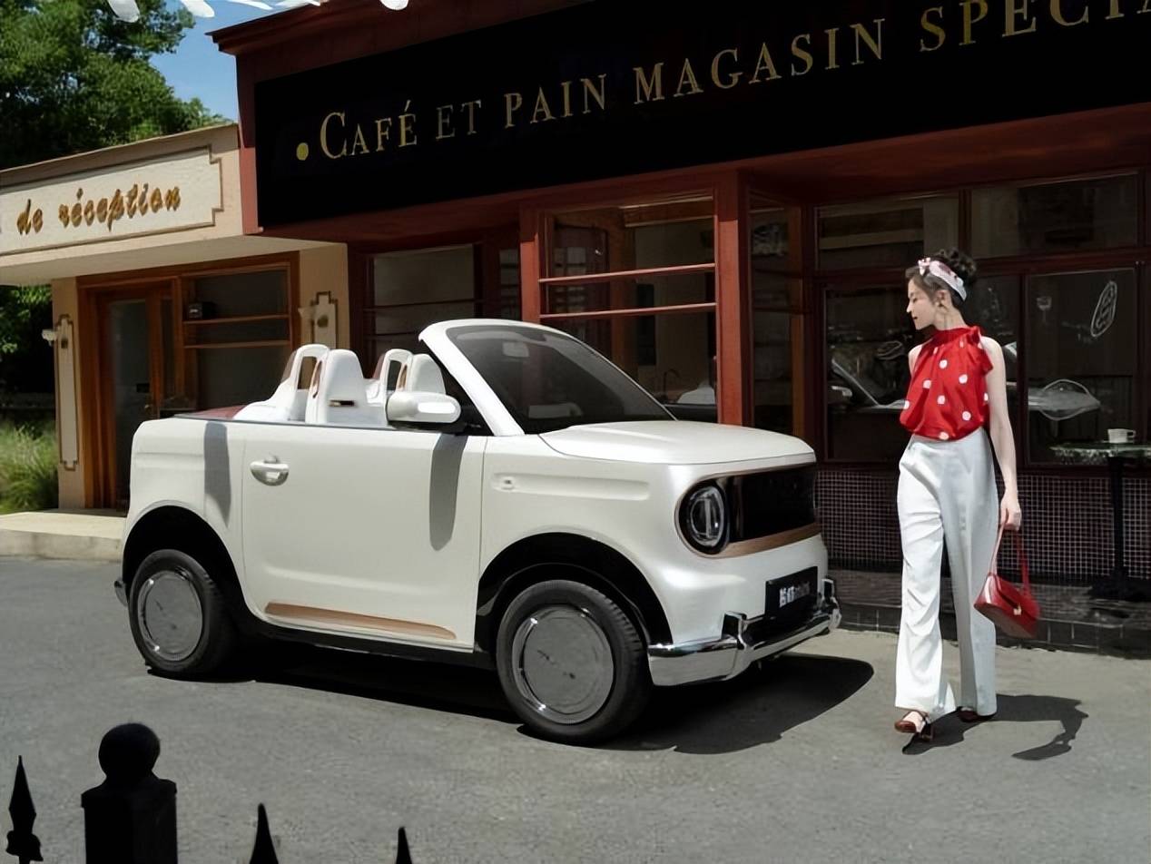 熊猫mini、宏光MINI EV、QQ冰淇淋谁才是真王者？_搜狐汽车_搜狐网