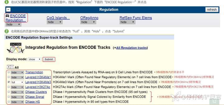 【科研工具包】转录因子预测及优化策略 ——JASPAR、NCBI、UCSC数据库联用_基因_序列_位点