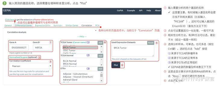 【科研工具包】转录因子预测及优化策略 ——JASPAR、NCBI、UCSC数据库联用_基因_序列_位点