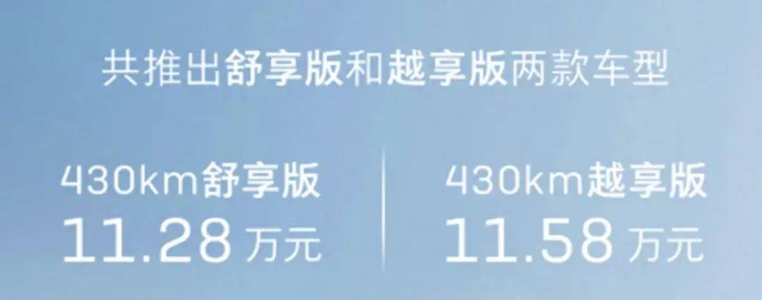 降价超8万 大品牌 11.28万起售 续航430km_搜狐汽车_搜狐网