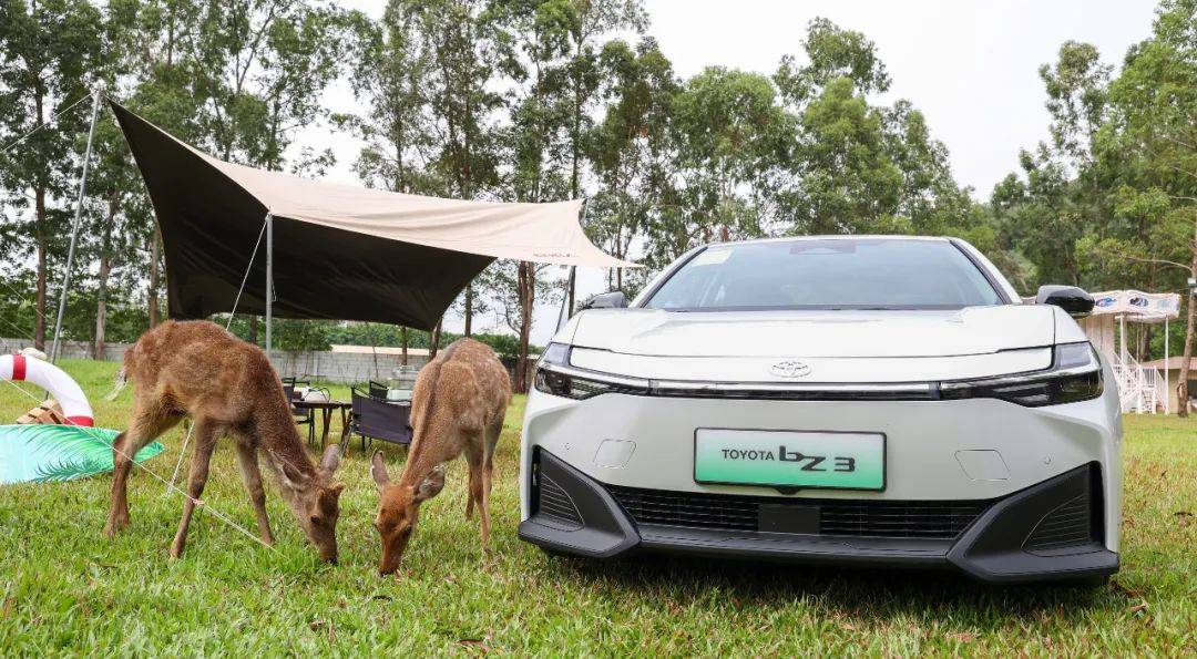 不焦虑·趣Camping丨共赴夏季之约 一汽丰田bZ3媒体露营试驾之旅圆满收官！_搜狐汽车_搜狐网