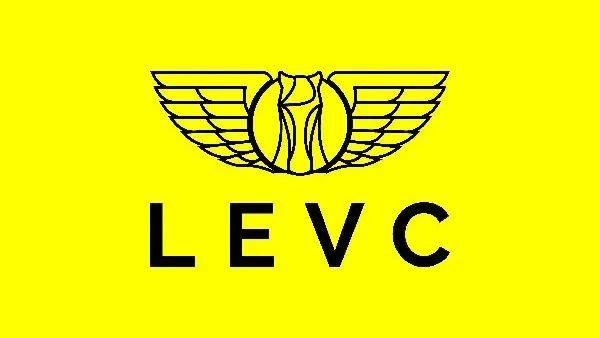 突围新能源汽车同质竞争，LEVC为何锁定“空间赛道”？_搜狐汽车_搜狐网