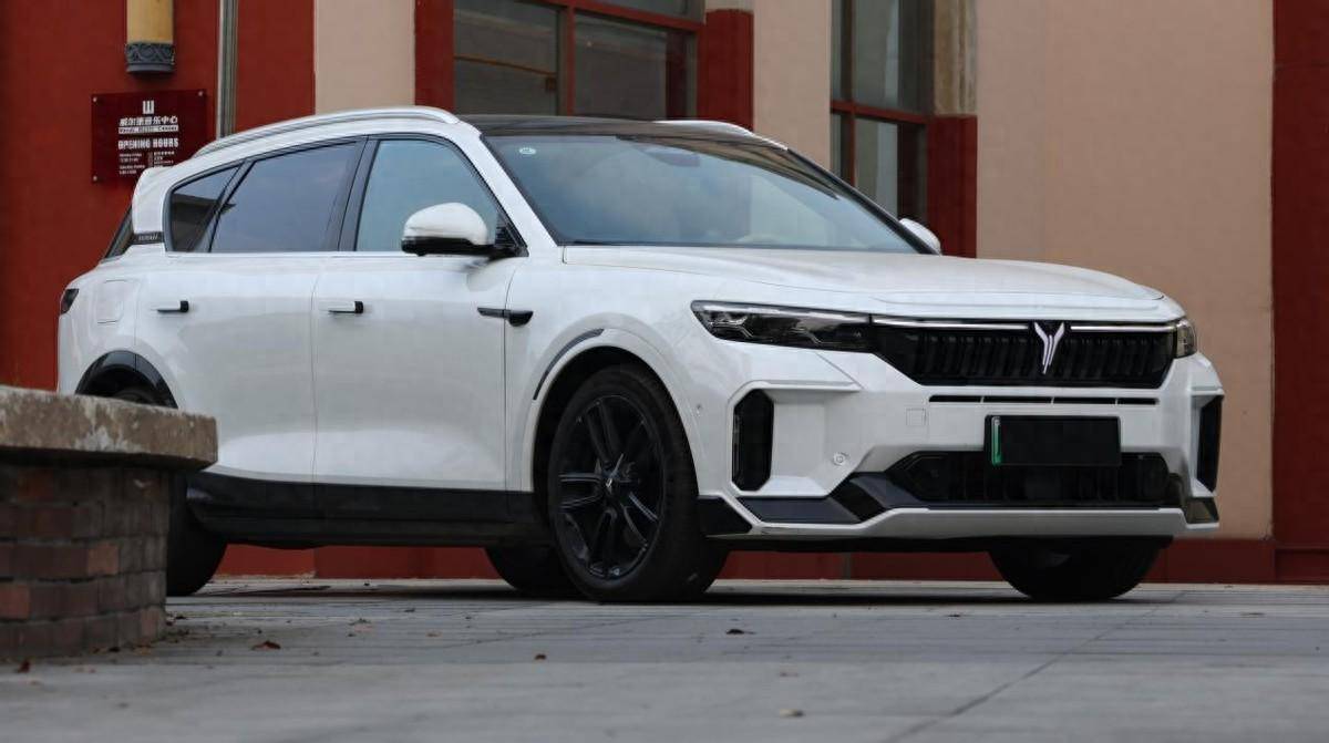 年轻家庭买高品质SUV，大五座+4.8s破百的岚图FREE，能否成首选？_搜狐汽车_搜狐网