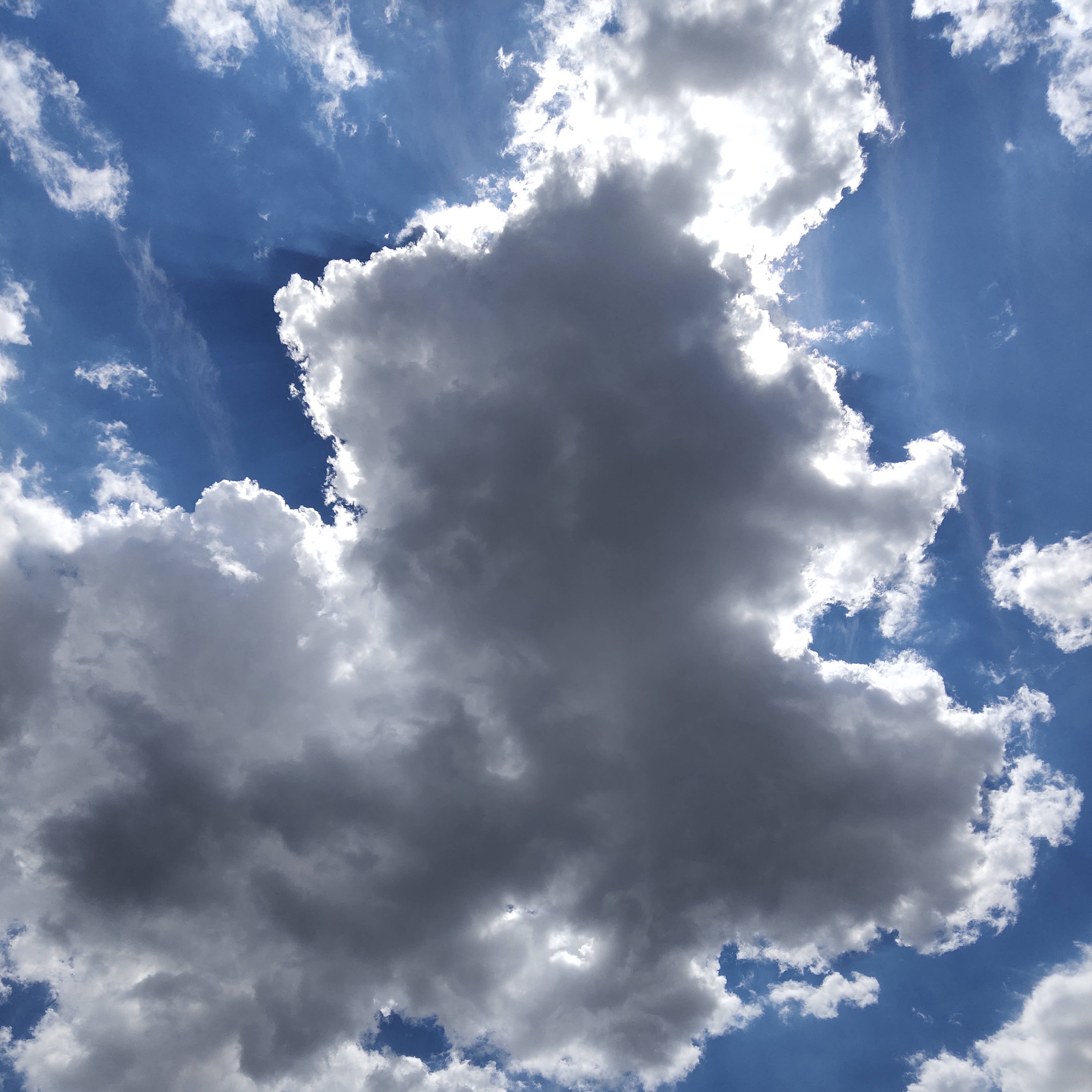 高浓度有机废水A2/O-MBR处理工艺_系统