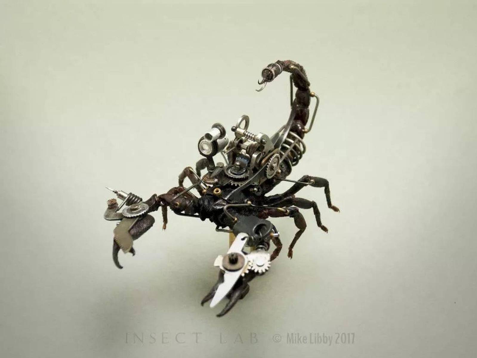 机械昆虫艺术家 Mike Libby