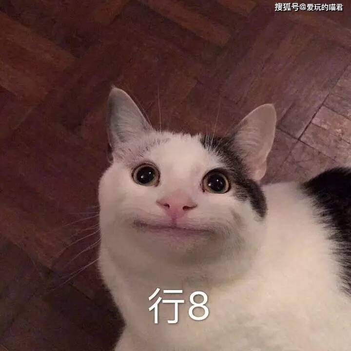 上班摸鱼的必备神器！这几个网站能让你玩上一整天！_https