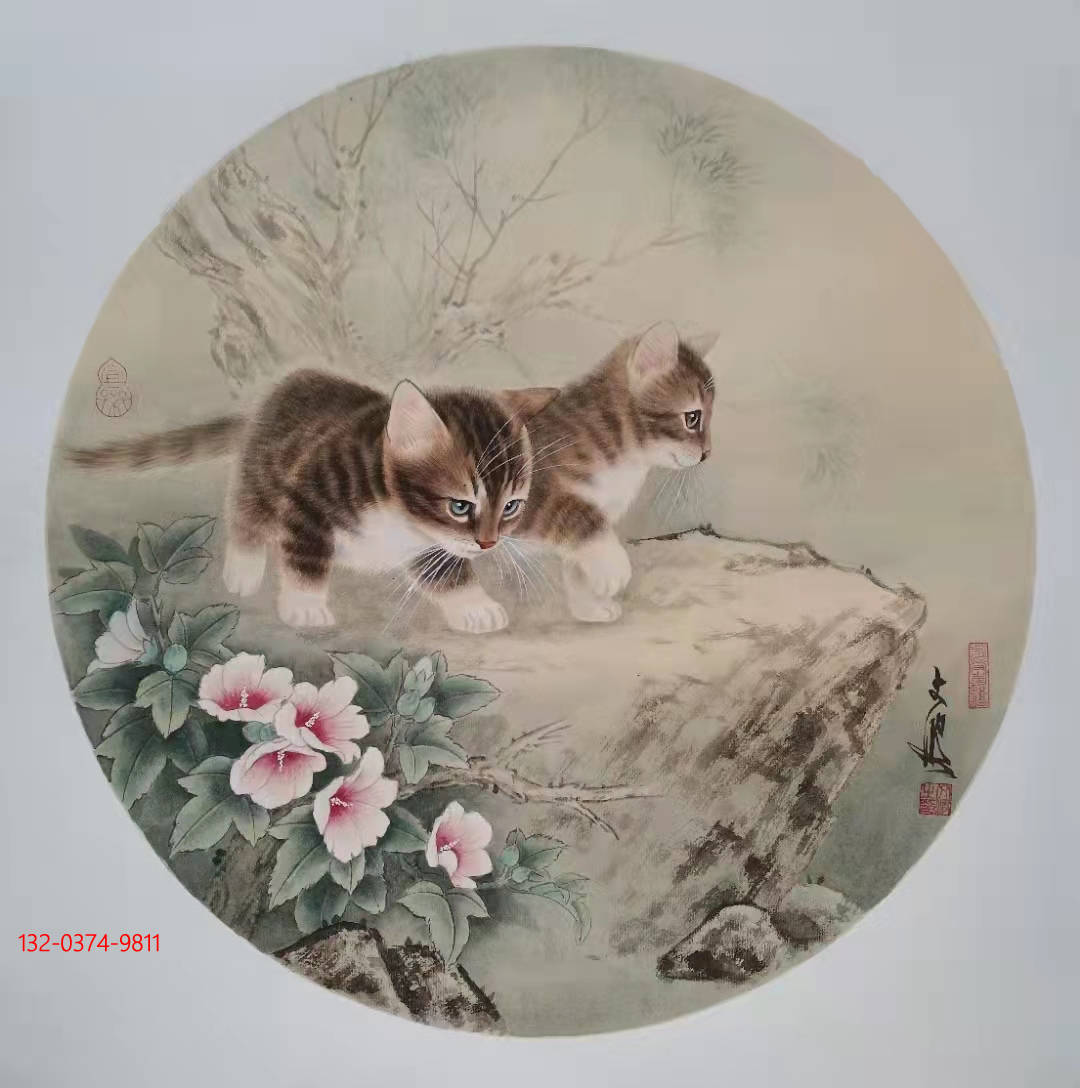 画家王文波国画猫作品集-搜狐大视野-搜狐新闻