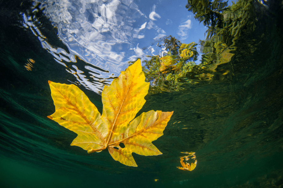 摄影师Eiko Jones 镜头里的水底世界-搜狐大视野-搜狐新闻
