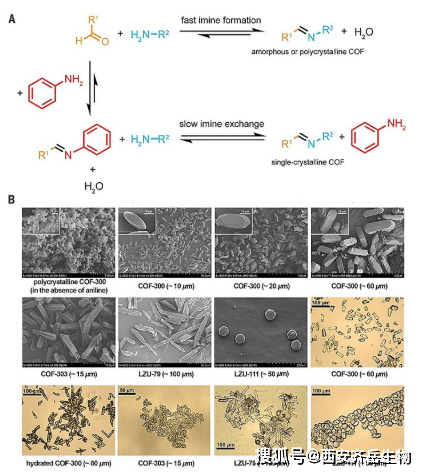 COF-300|COF-316|共价有机框架|Covalent Organic Frameworks, COFs_材料_骨架_射线