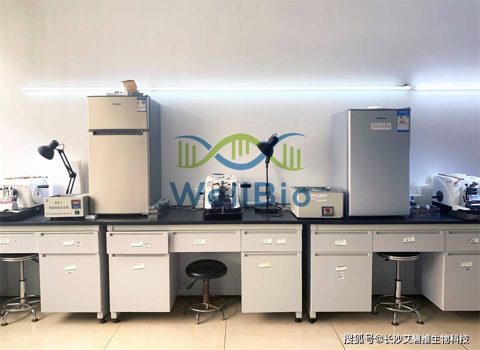 长沙艾碧维（Abiowell）实验室图片--细胞房-搜狐大视野-搜狐新闻