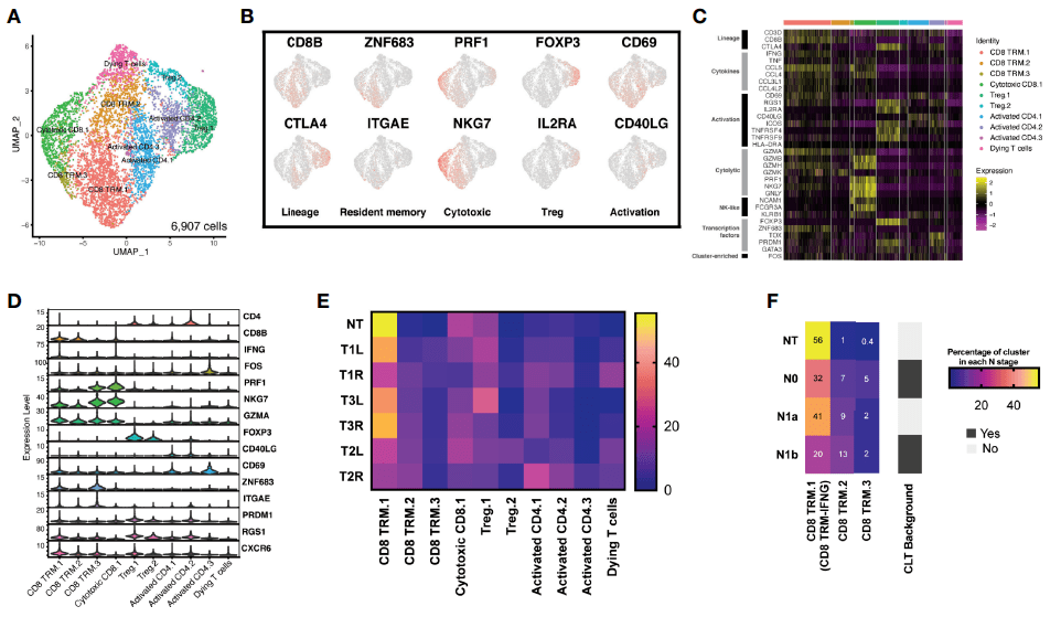 项目文章丨单细胞转录组分析揭示双侧甲状腺乳头状癌的肿瘤间异质性_患者_样本_研究
